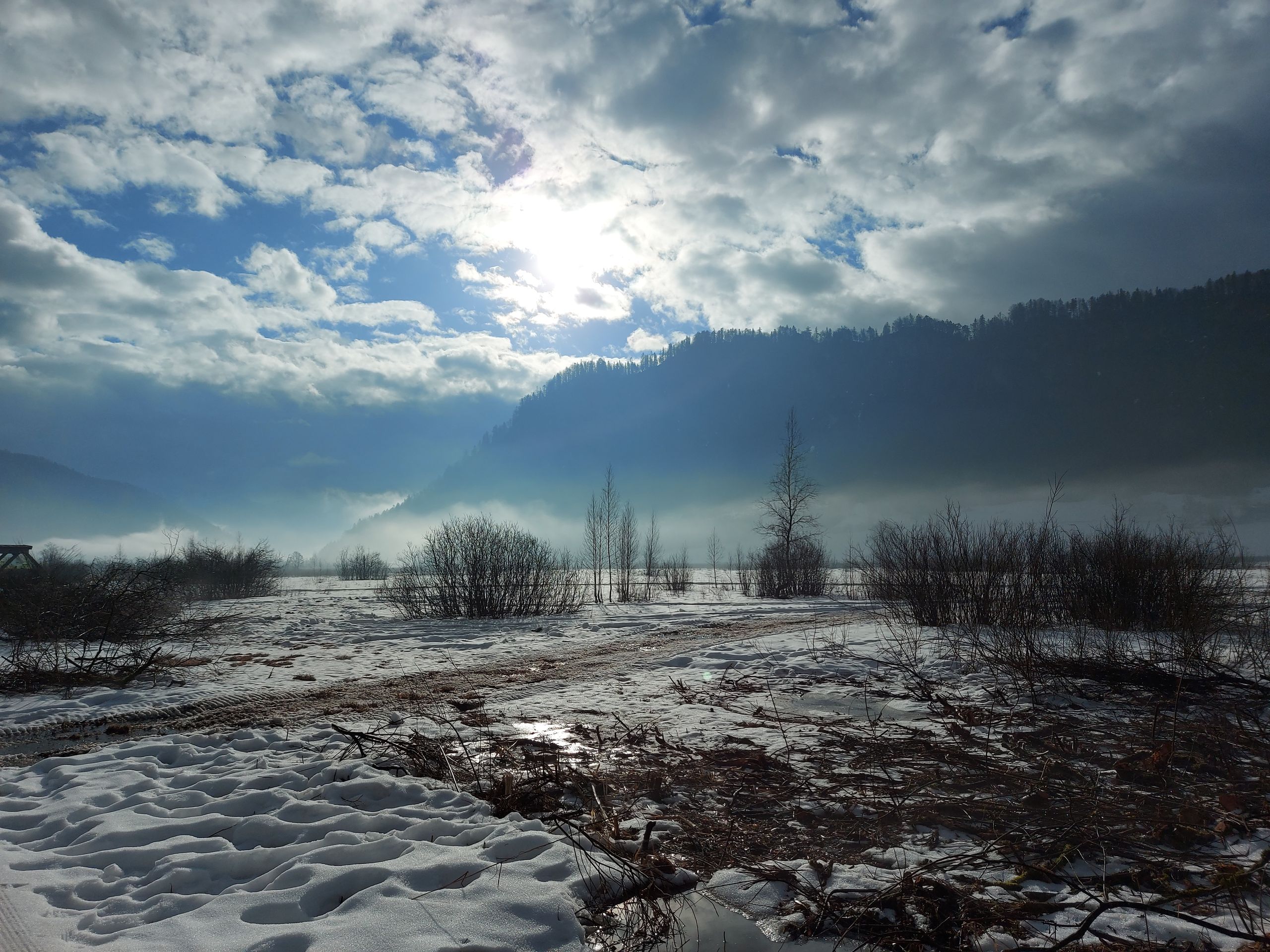 Moorpflege in Tirol | HarryCan aus Rum